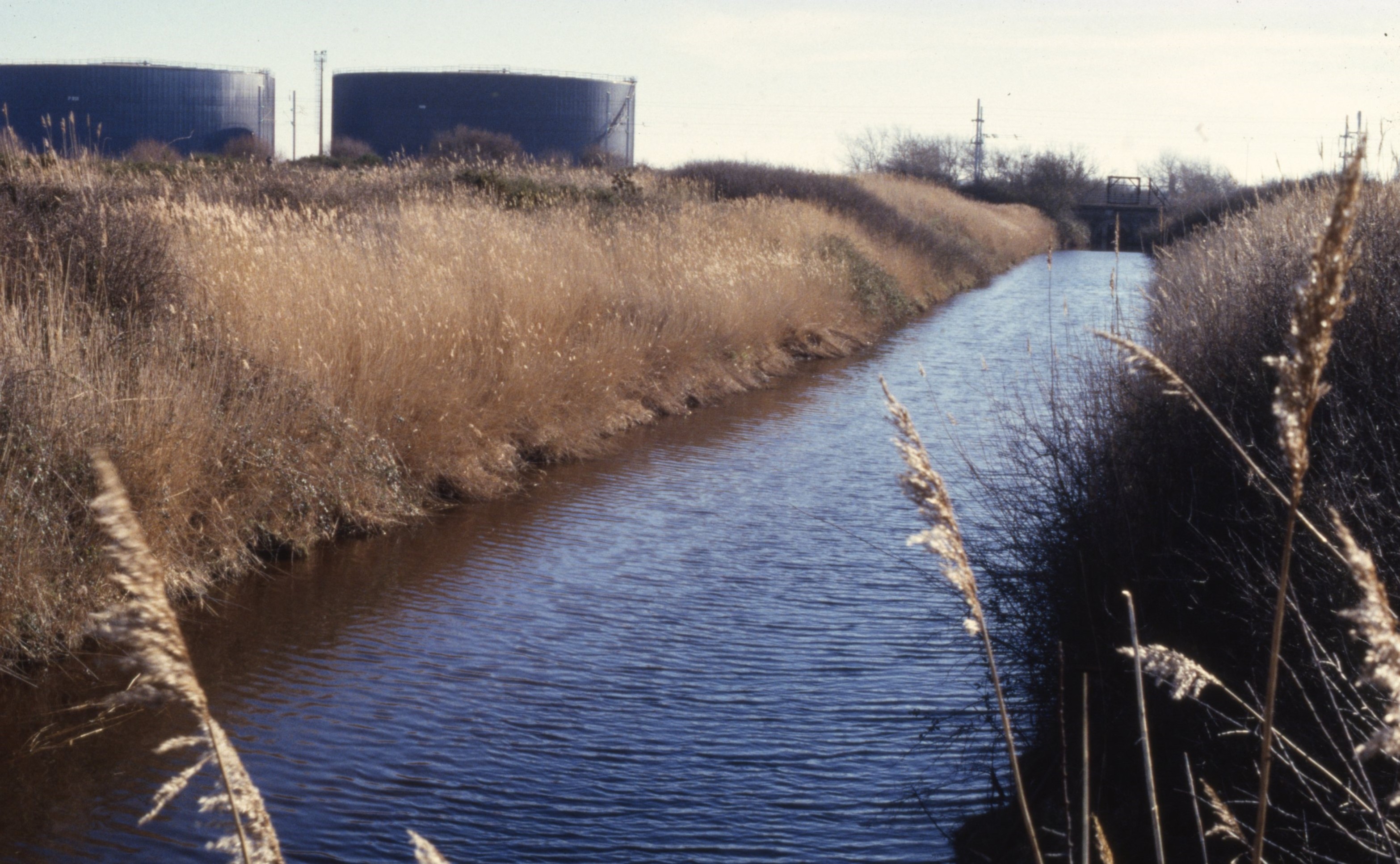 Image5.jpg | École supérieure d'art et de design TALM