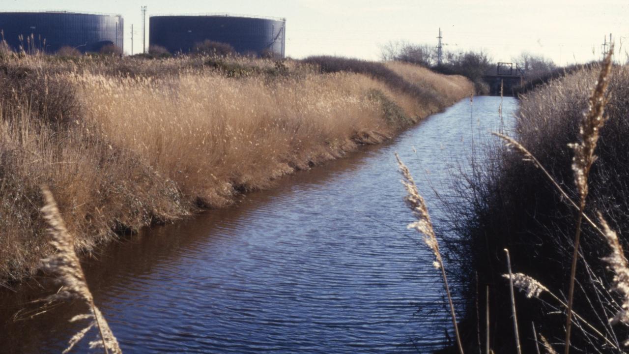 Image5.jpg | École supérieure d'art et de design TALM