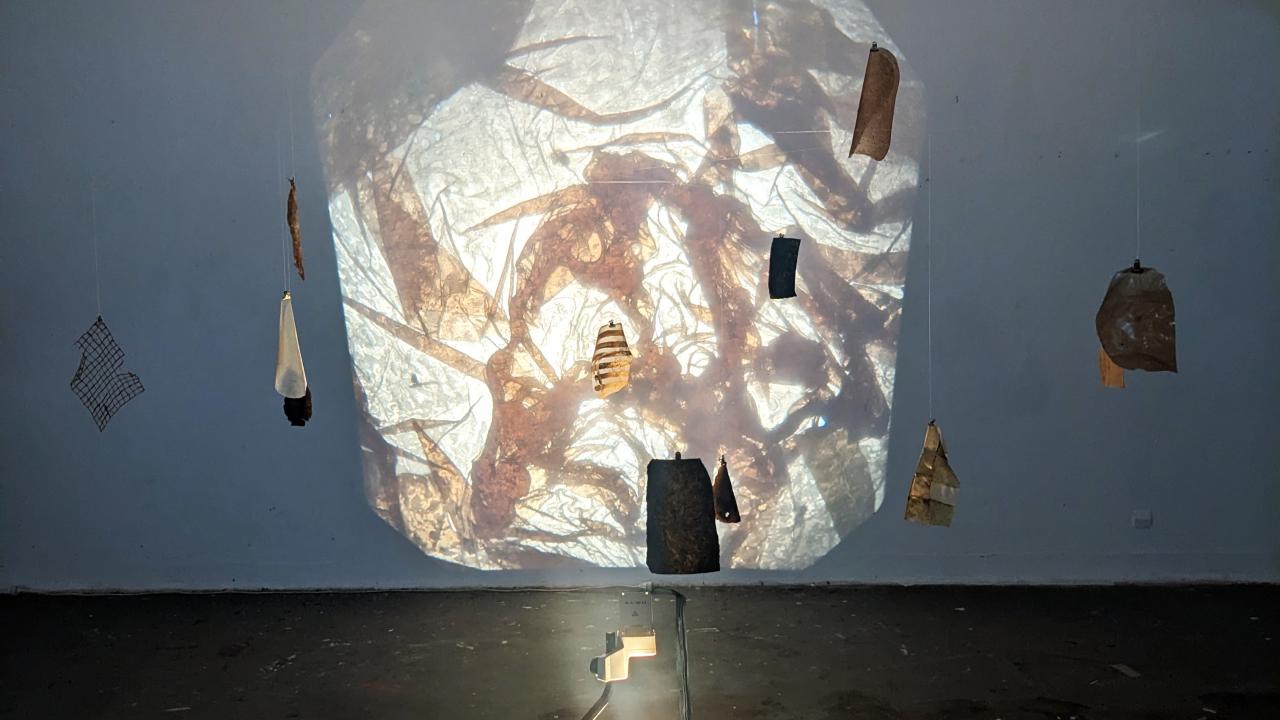 Romane Loriot | École supérieure d'art et de design TALM