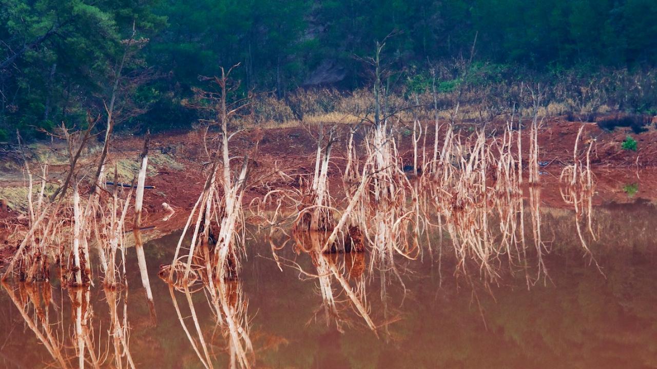 Boues rouges de Gardanne | École supérieure d'art et de design TALM
