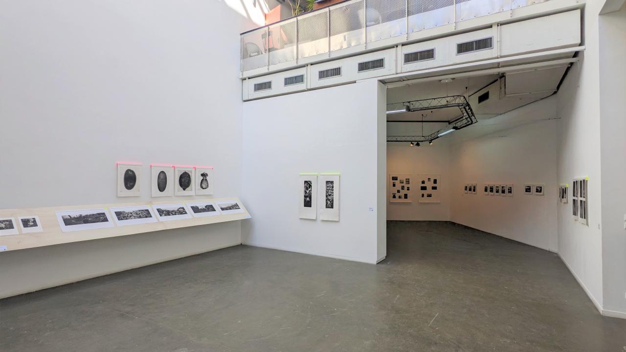 Héliogravures contemporaines, la photographie gravée | École supérieure ...